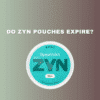 Understanding ZYN Pouch Ingredients