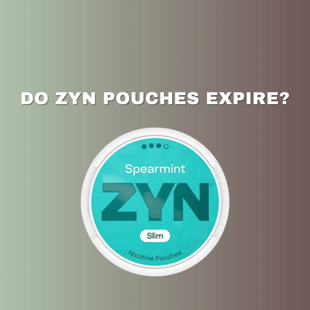 Understanding ZYN Pouch Ingredients